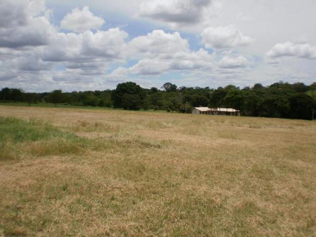 Fazenda, Fazenda 178 Hectares, Curvelo, MG