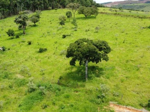 Fazenda, Fazenda 19 Hectares, Passa Tempo, MG