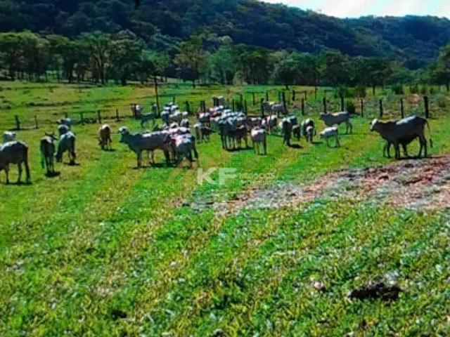 Fazenda Fazenda