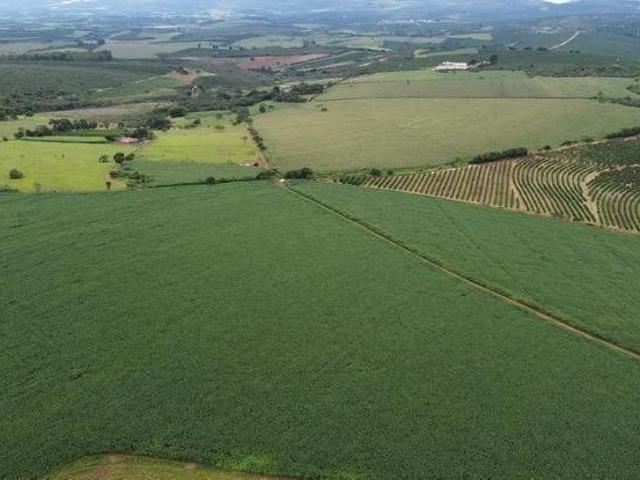 Fazenda, Fazenda 55,33 Hectares, Guapé, MG