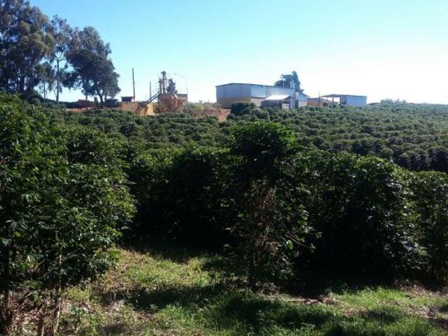Fazenda, Fazenda 690 Hectares, Lambari, MG
