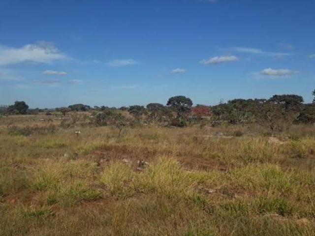 Fazenda, Fazenda 901 Hectares, Joaquim Felício, MG