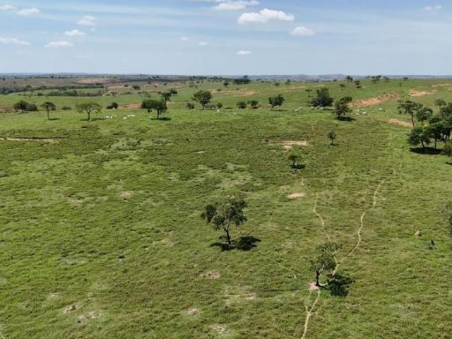 Fazenda, Fazenda 91,91 Hectares, Dores do Indaiá, MG