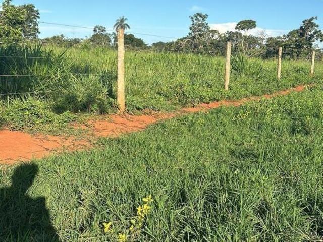 Fazenda, Fazenda Biquinhas 64,04 Hectares, Biquinhas, MG