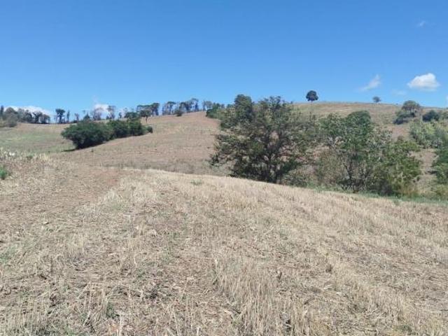 Fazenda, Fazenda de 106,17, Três Corações, MG