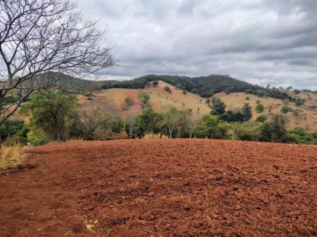 Fazenda, Fazenda de 176 Hectares, São José da Varginha, MG