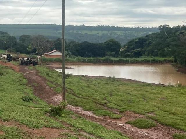 Fazenda, Fazenda de 170 Hectares, Martinho Campos, MG