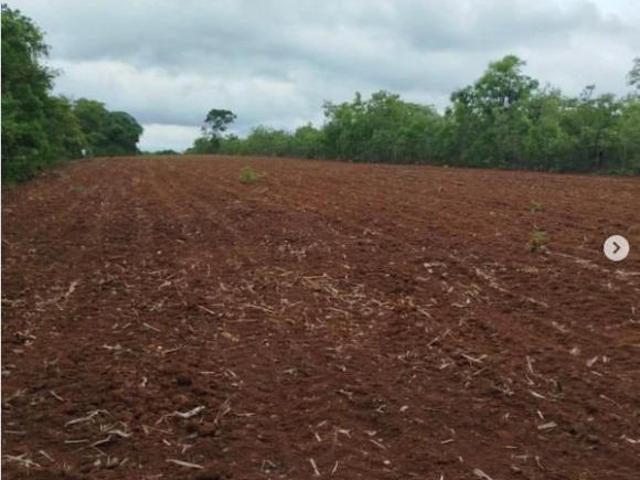 Fazenda, Fazenda de 25 Hectares, Curvelo, MG