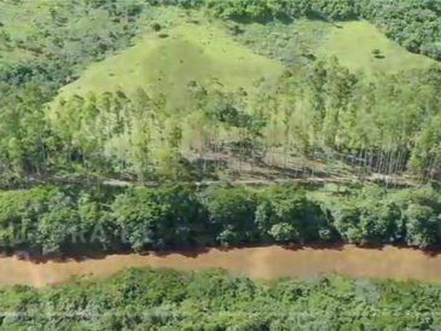 Fazenda, Fazenda de 404 Hectares, Santo Antônio do Amparo, MG