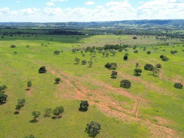 Fazenda, Fazenda de 450 Hectares, Biquinhas, MG