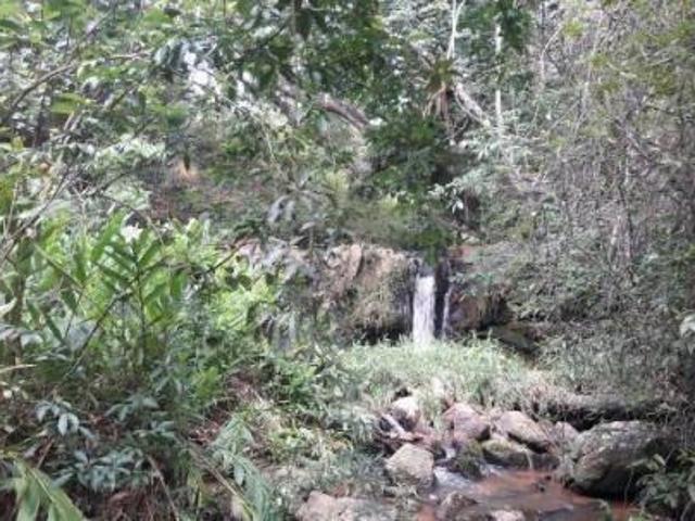 Fazenda, Fazenda de 50 Hectares, Itaúna, MG