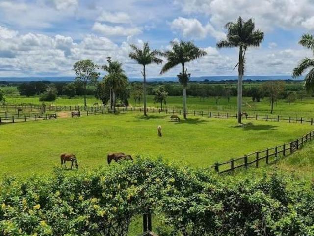 Fazenda, Fazenda de 532 Hectares, Pirapora, MG