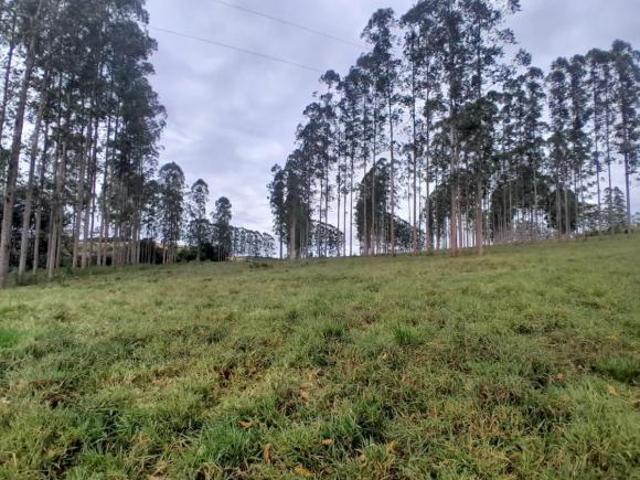 Fazenda, Fazenda de 699,41 Hectares, Andrelândia, MG