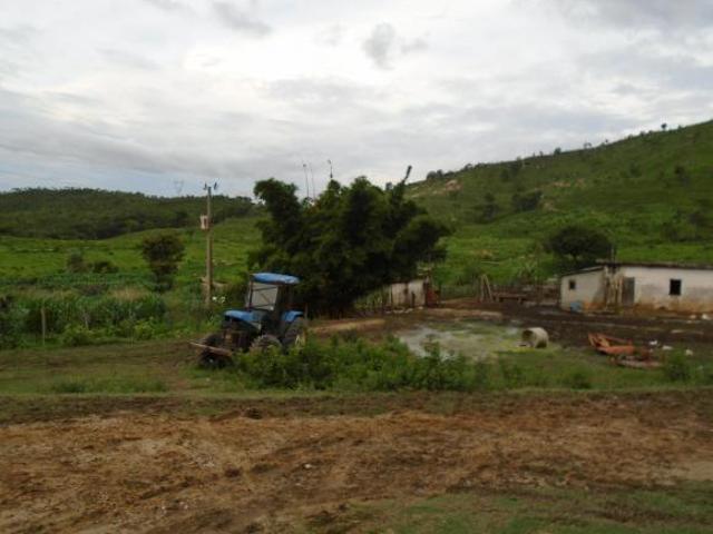 Fazenda, Fazenda de 90 Hectares, Santa Luzia, MG