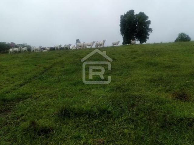 Fazenda, Fazenda Ideal Para Criação de Gado, Pariquera açu, SP
