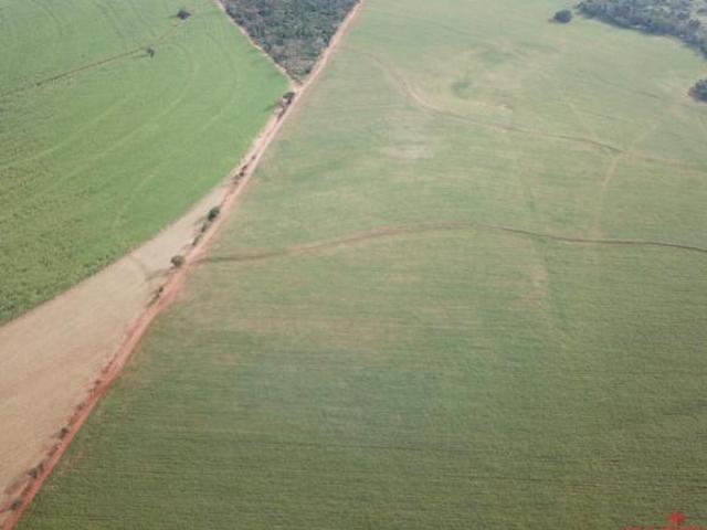 Fazenda, Fazenda Proximo a Rod. Anhanguera em Aramina, Aramina, SP