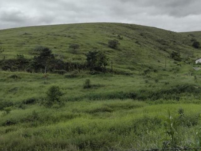 Fazenda Formada Em Pasto à 3Km do Asfalto em Cachoeira Paulista