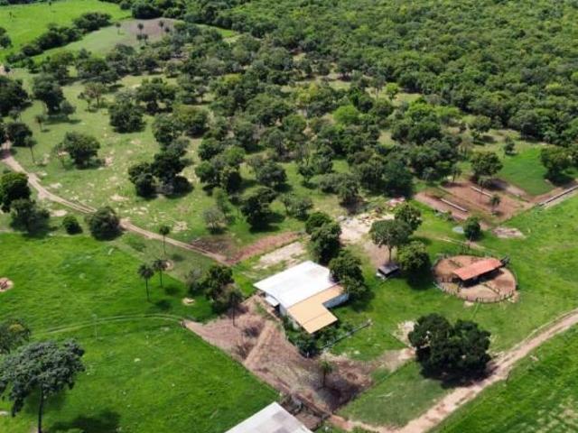 Fazenda Formosa Go 58 Alqueires plana terra de cultura sem pedras!
