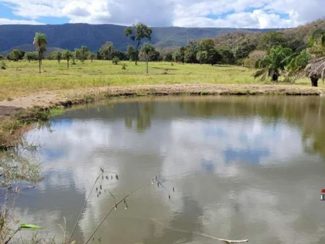 Fazenda, Formosa, Formosa, GO