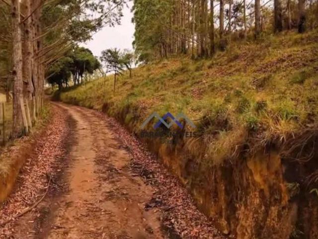 Fazenda Fortaleza à venda, 1887600 m² por R$ 6.500.000 Campos Novos Cunha/SP