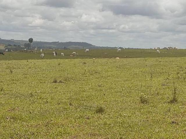 Fazenda Itapetininga 68 alqueires