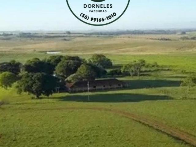 Fazenda,, Itaqui, RS