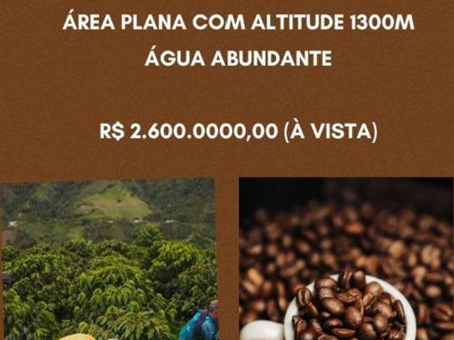 Fazenda ideal para café