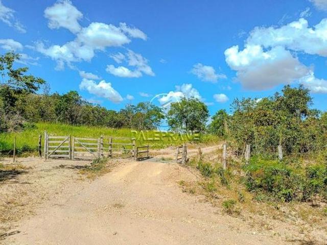 Fazenda Ideal para Pecuária e Lazer