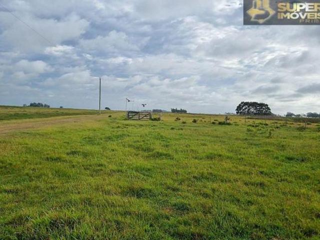 Fazenda Ideal para Pecuária em Rio Grande RS