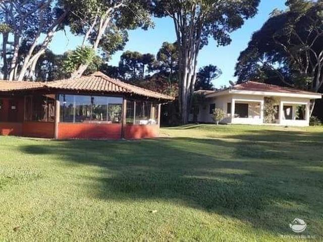 FAZENDA IMPERDÍVEL EM SÃO JOÃO D&apos  ALIANÇA/GO