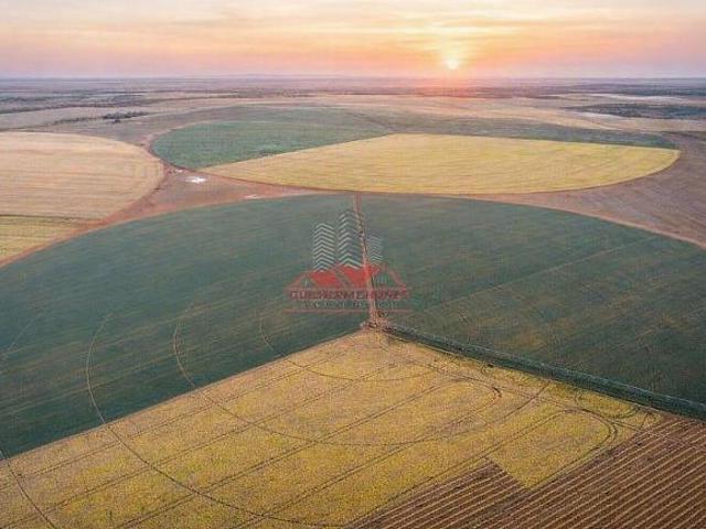 Fazenda Irrigada à Venda em Cristalina GO | 427 Hectares