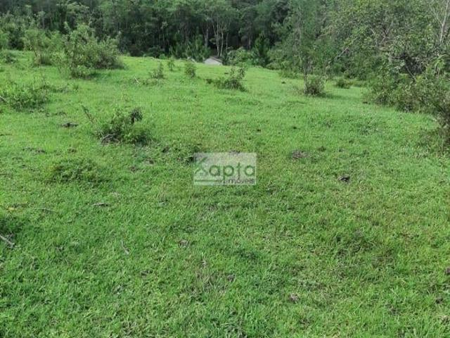Fazenda Jacupiranga/SP