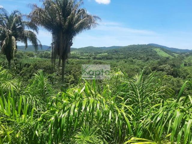 Fazenda Jacupiranga/SP