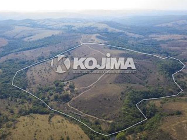 fazenda km 31 Fazenda 100 H em Edilândia Goiás