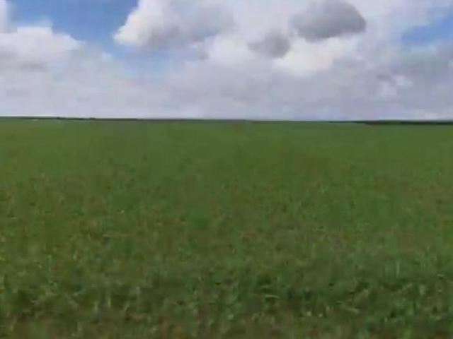 Fazenda Lagoa Grande MG com 1804 hactares Só R$ 35.000 o hectare