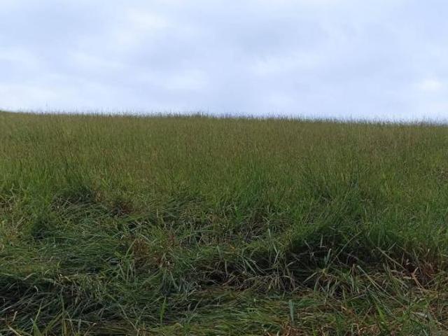 Fazenda lajeado Estrutura,Potencial e Segurança para seu investimento