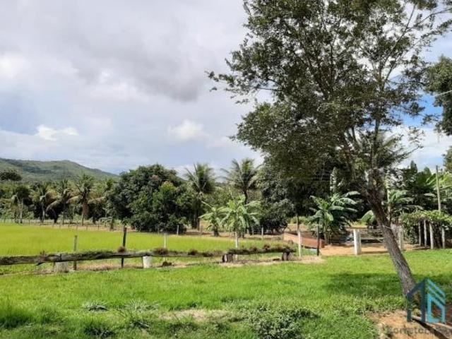 Fazenda linda 39 alqueires, com casa peão e casa sede, Município de Mossamedes GO