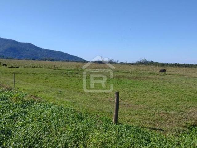Fazenda localizada em Iguape SP com 280 alqueires