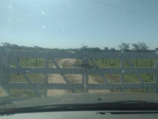 FAZENDA PANORAMA SP