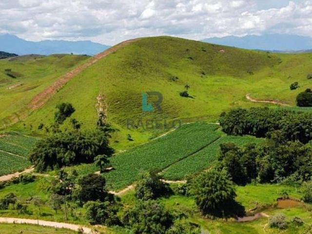 FAZENDA PARA CRIAÇÃO DE GADO CORTE E LEITE