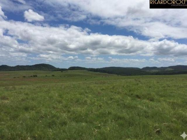 Fazenda para Agricultura e Pecuária | 1.800 Hectares | Zona Rural Bagé | RS