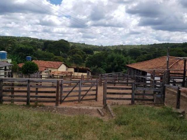 Fazenda para Gado!