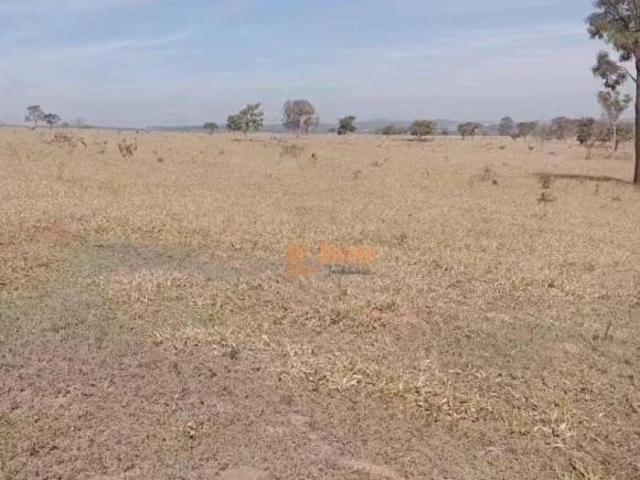 Fazenda para Gado à Venda em Piraju, SP