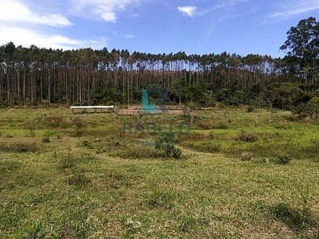 FAZENDA PARA GADO DE CORTE E LEITE EM LORENA SP