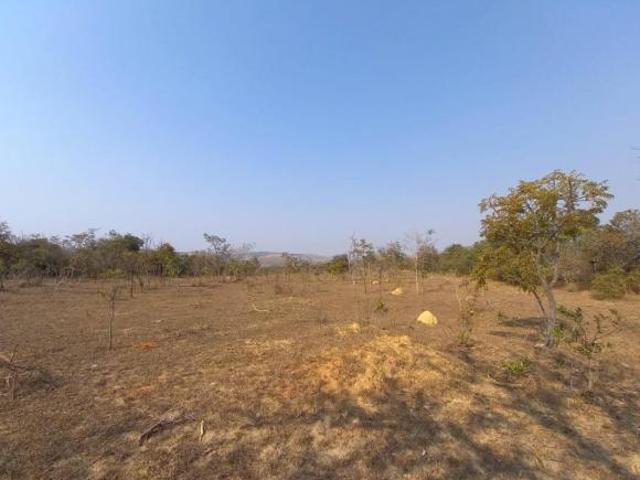 FAZENDA PARA INVESTIMENTO ENTRE COROMANDEL E PATROCÍNIO/MG