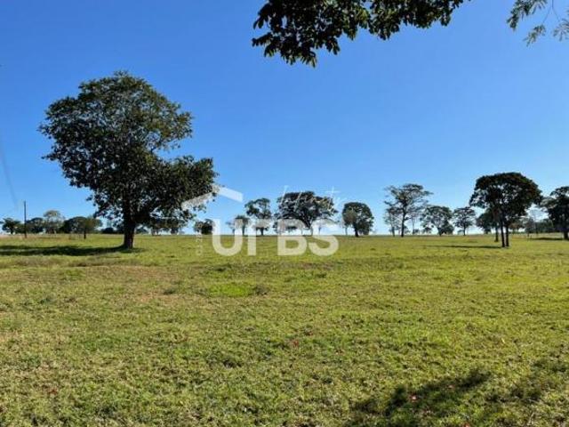 FAZENDA PARA LOTEAMENTO