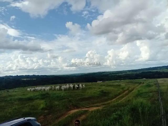 Fazenda para Locação em Itiquira/MT Zona Rural 3 Quartos
