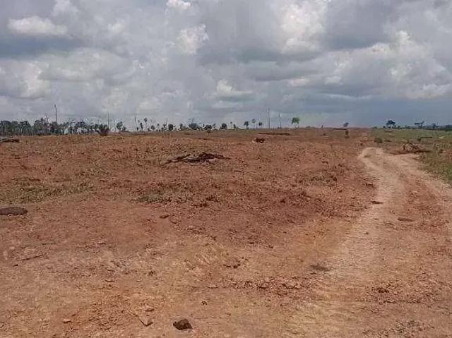 Fazenda para Locação em Primavera do Leste/MT Zona Rural