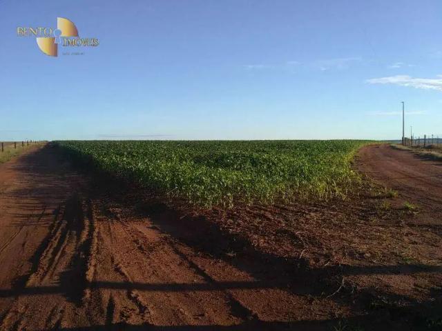 Fazenda para Locação em Primavera do Leste/MT Zona Rural