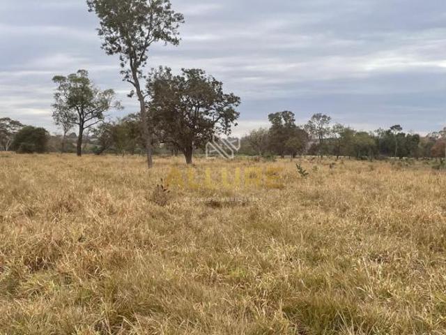 Fazenda para Pecuária